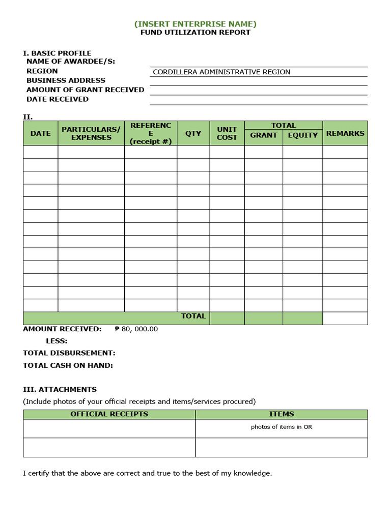 Fund Utilization Report 2024 | PDF