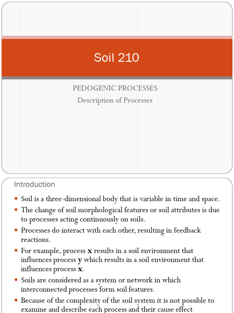 Pedogenic Processes - Report | PDF | Soil | Organic Matter