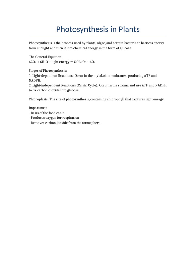 Photosynthesis in Plants | PDF