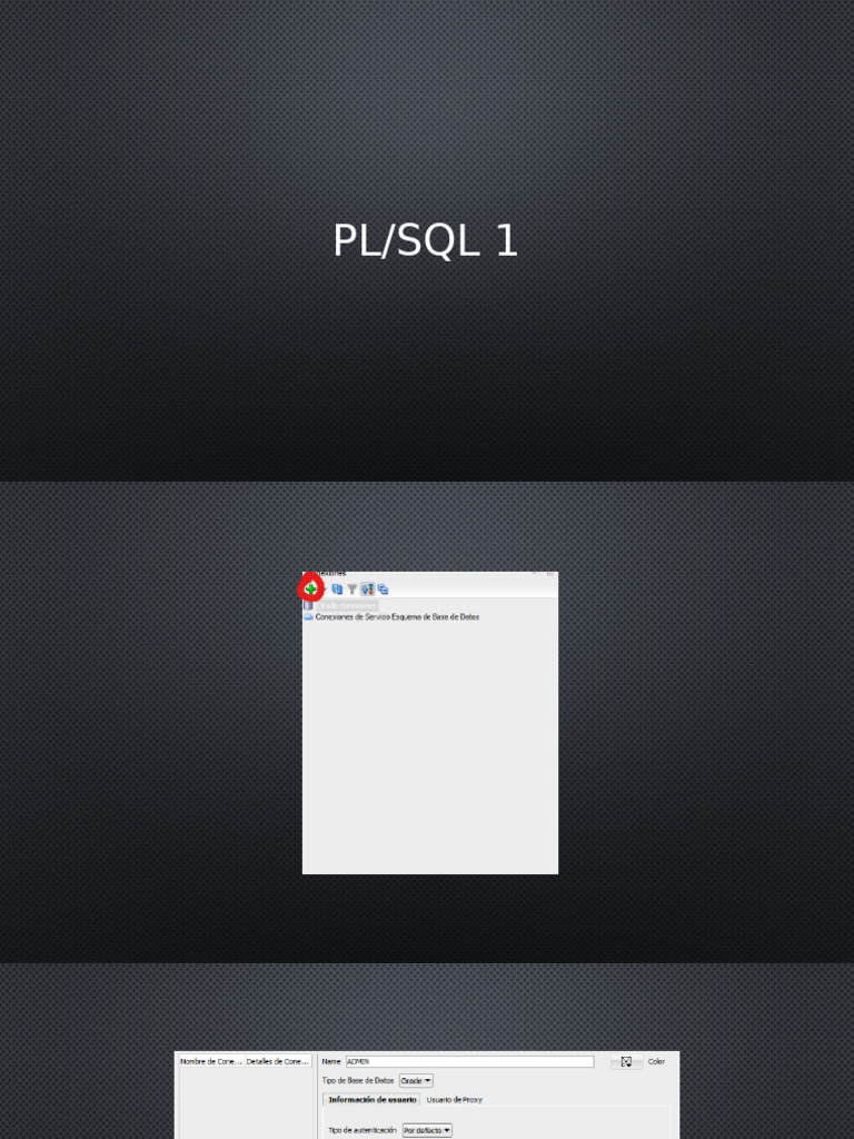 Presentacion 1 PLSQL | PDF