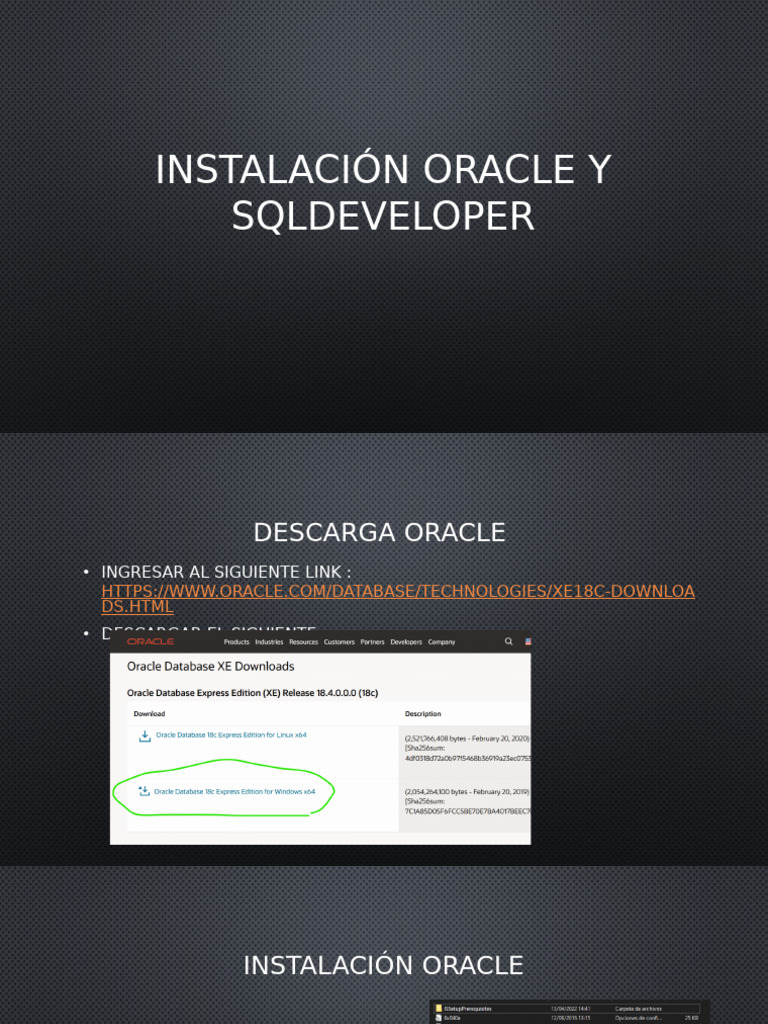 Instalación Oracle y SQLdeveloper | PDF