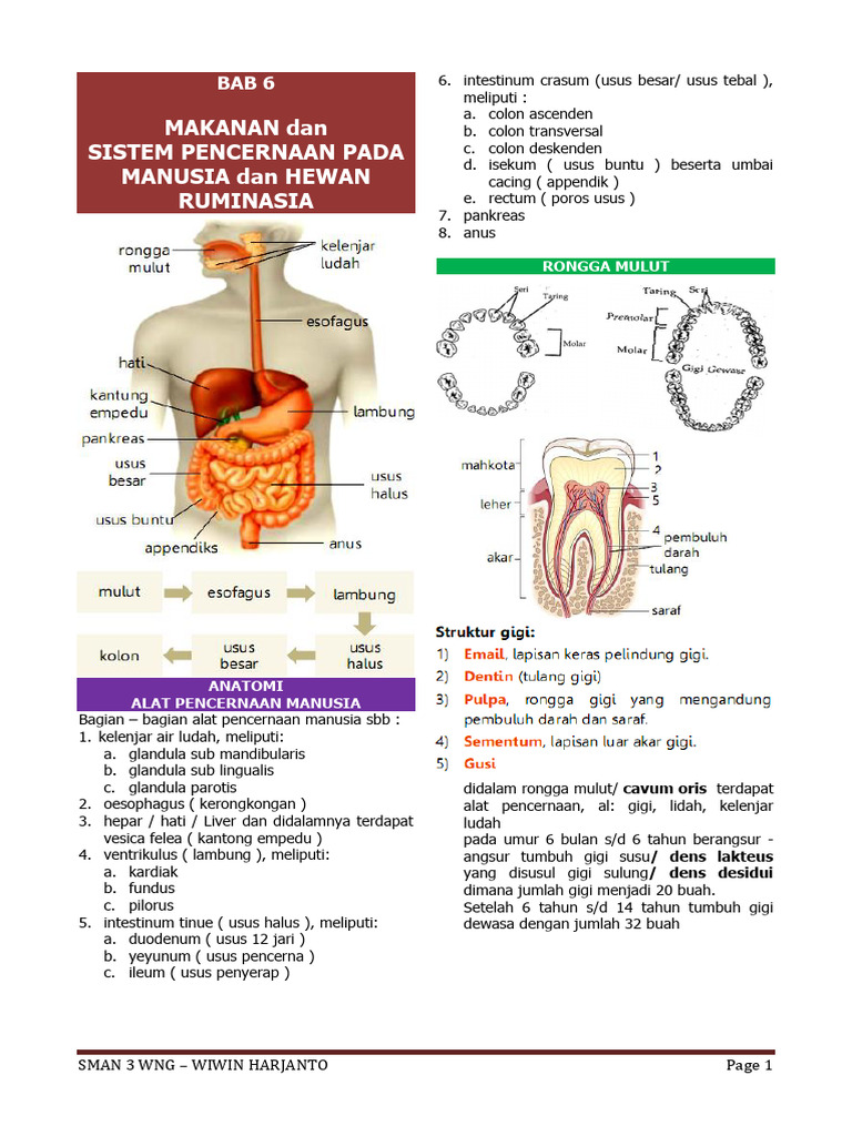 Materi Sist - Pencernaan 2122 | PDF