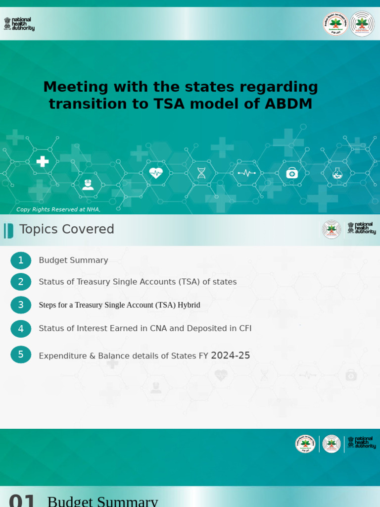 Status of CNA in Treasury Accounts | PDF | Government | Government Of India