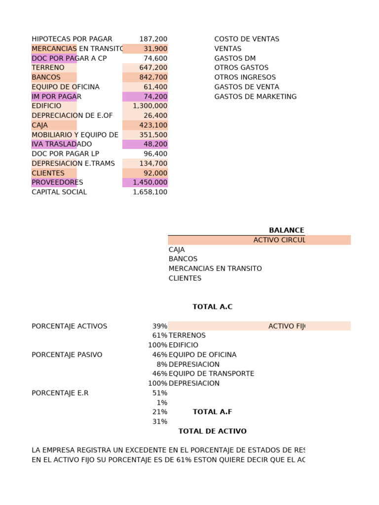 Analisis Daniela Sanches Prac | PDF | Estado de resultados | Hoja de balance