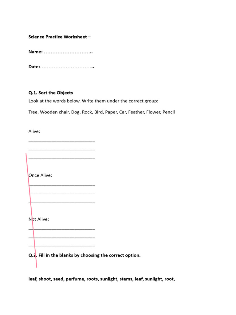 Unit 1 Practise Worksheet Science | PDF | Plants | Flowers