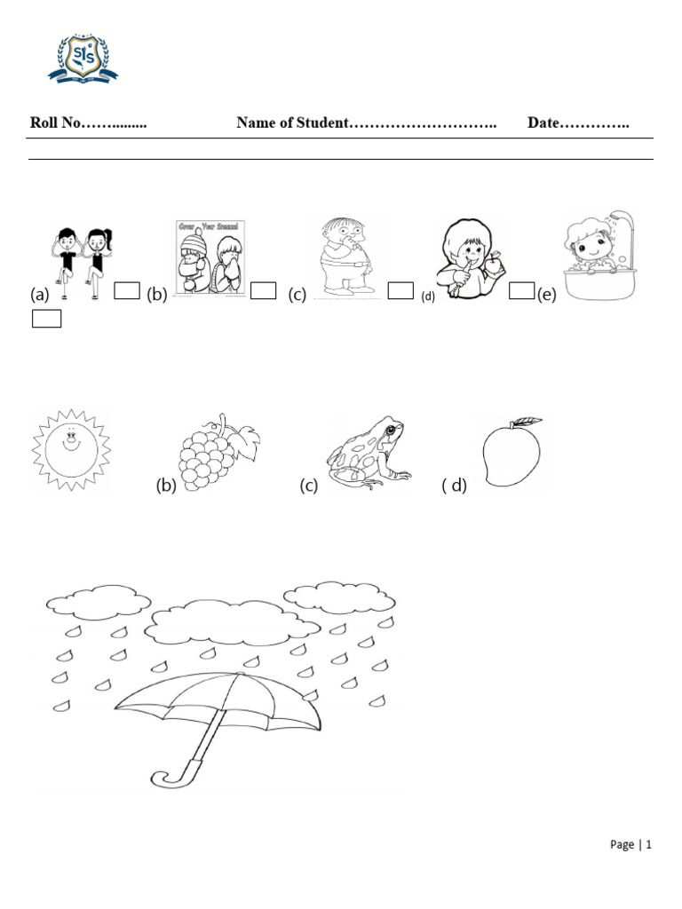 Nursery EVS Assignment Worksheet | PDF