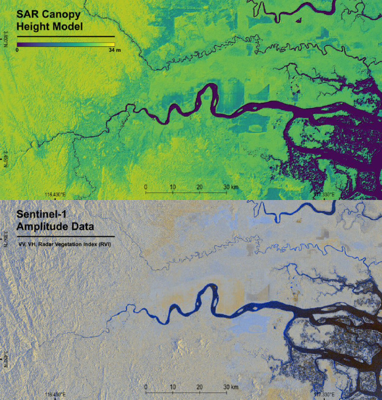 SAR Canopy Height Model | PDF