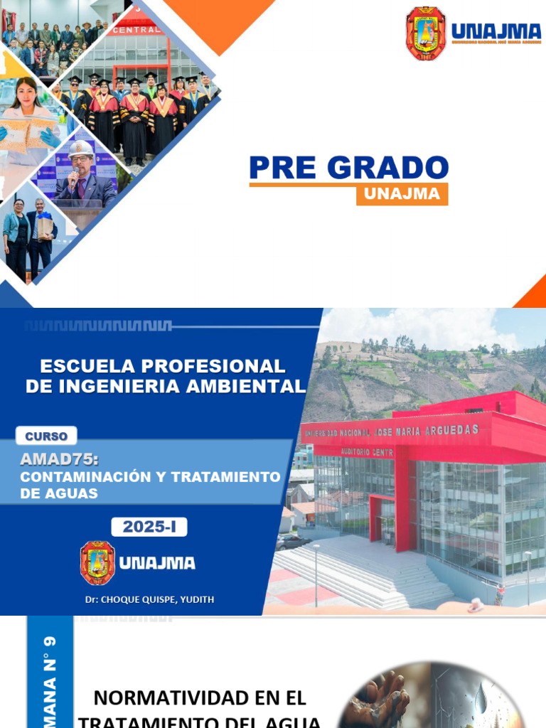 LMPS | PDF