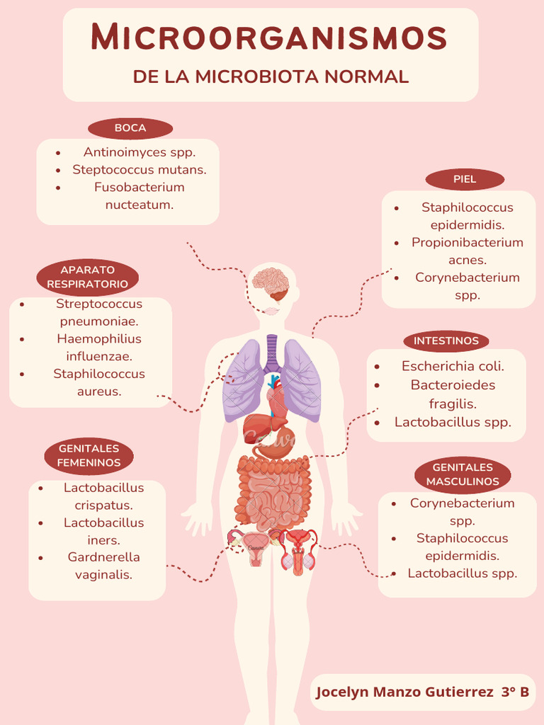 Microbiota Normal del Cuerpo Humano | PDF