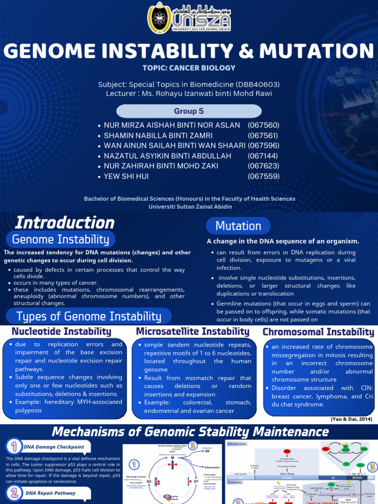 Group 5 Genome Instability & Mutation | PDF | Dna Repair | Mutation