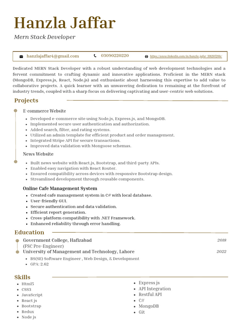 MERN Stack Developer Profile & Projects | PDF