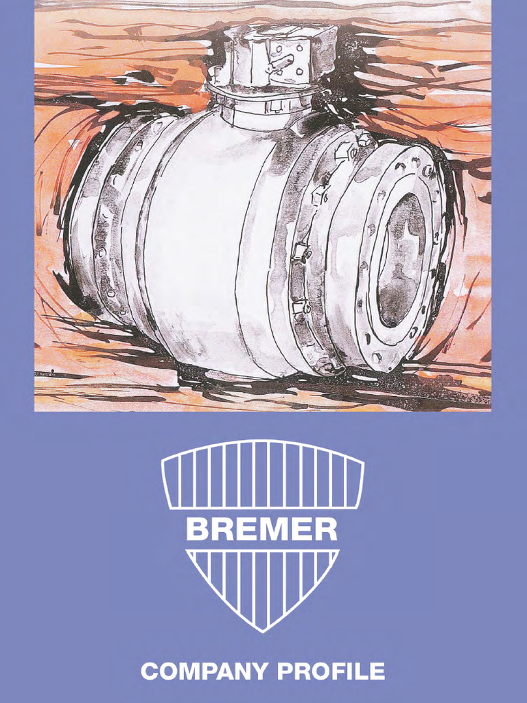 01 - Bremer - Company | PDF