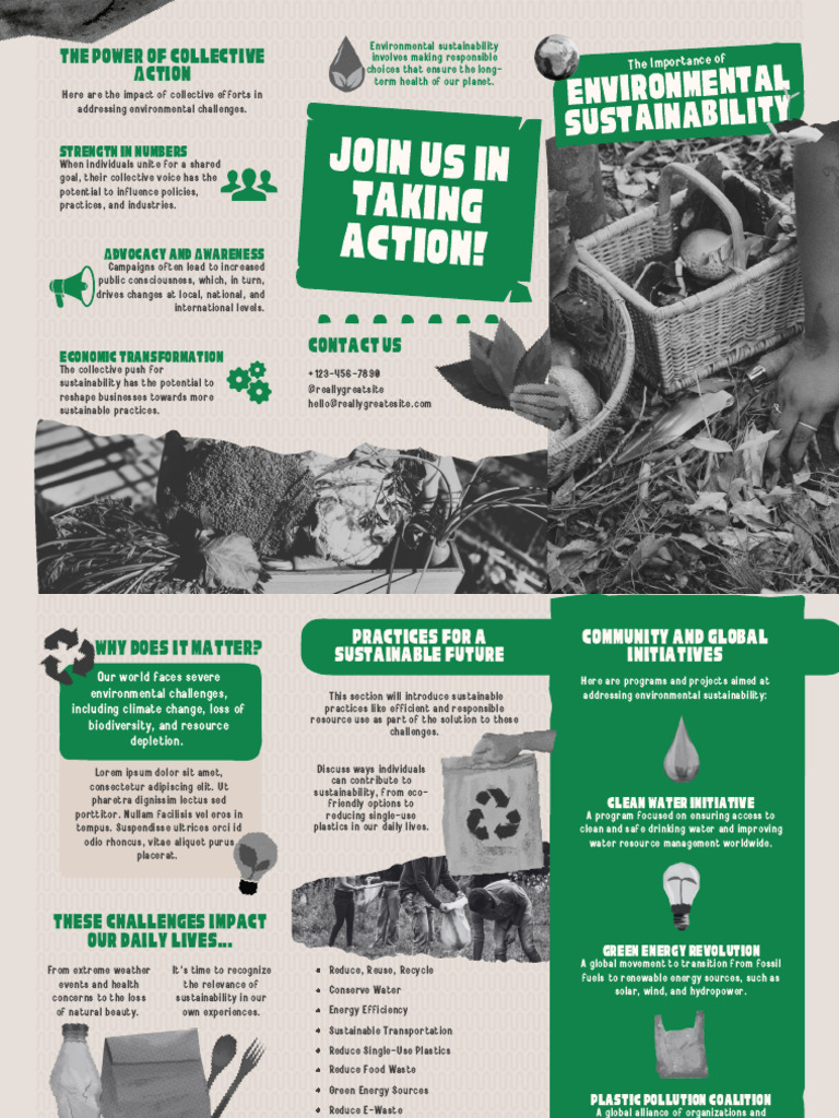 Collective Action for Environmental Sustainability | PDF ...