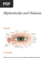 ICD-10 Codes for Styes and Hordeola | PDF | Ophthalmology | Rtt