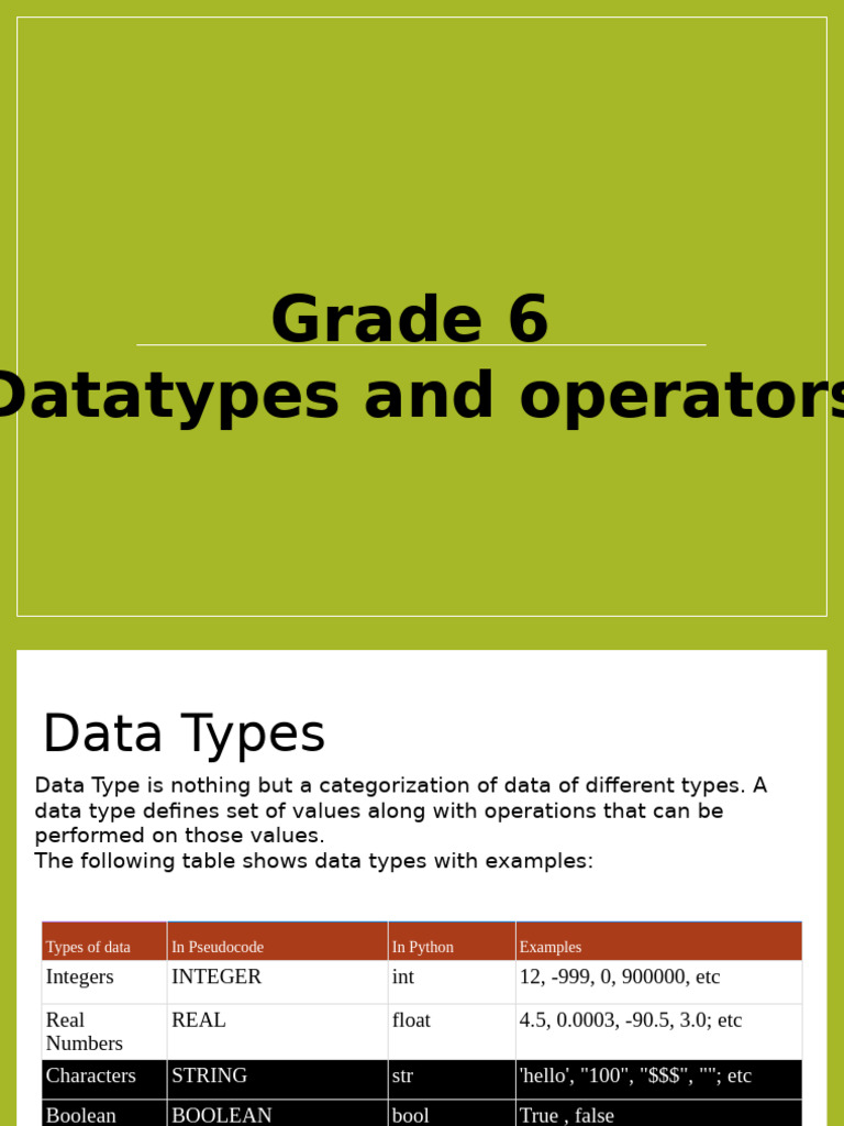 Gr6 2.operators and Datatypes | PDF