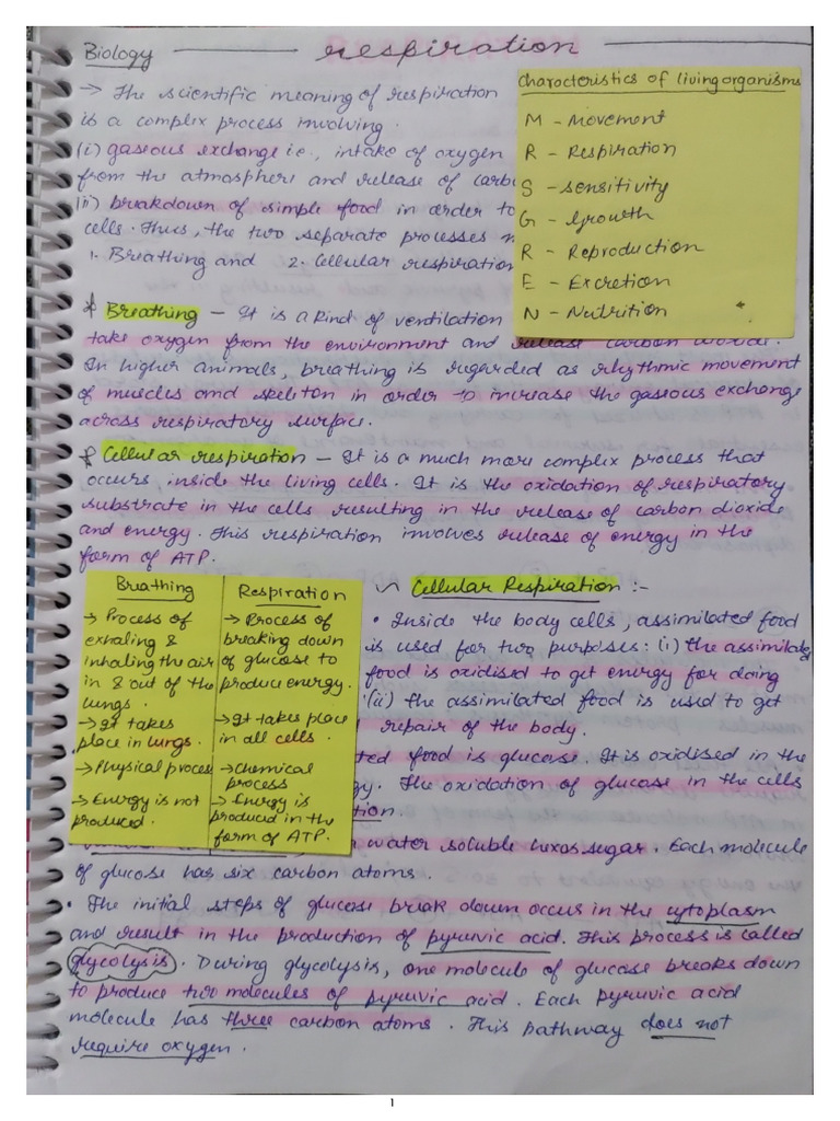 RESPIRATION ? Life Processes Class 10th | PDF