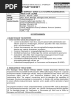 SK After-Activity Report Template | PDF
