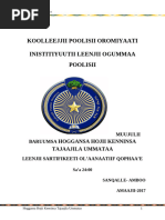 Formaatii Gabaasa Torbee Lama. | PDF