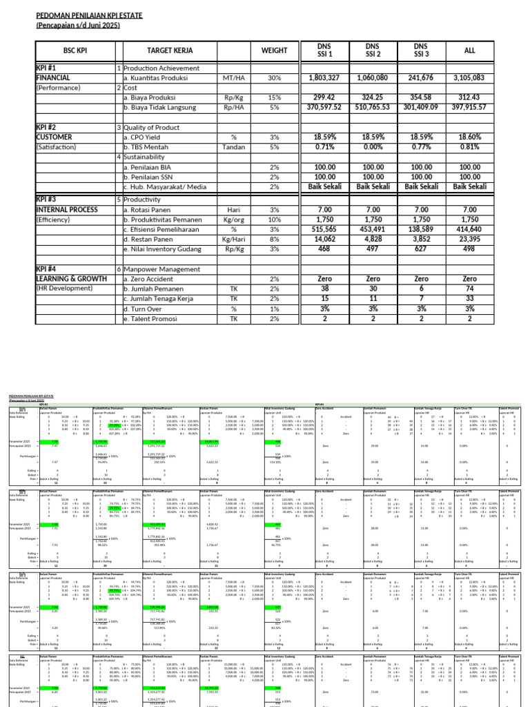 Ssi - Kpi Jun 2025 | PDF | Business Intelligence