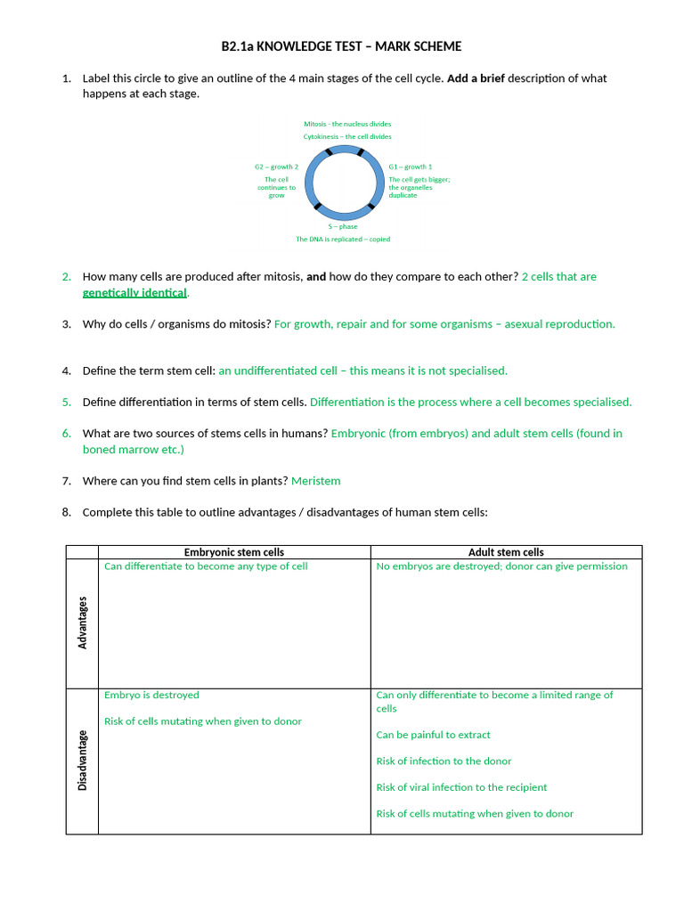 Stem Cell Basics for GCSE Students | PDF | Stem Cell | Cellular ...