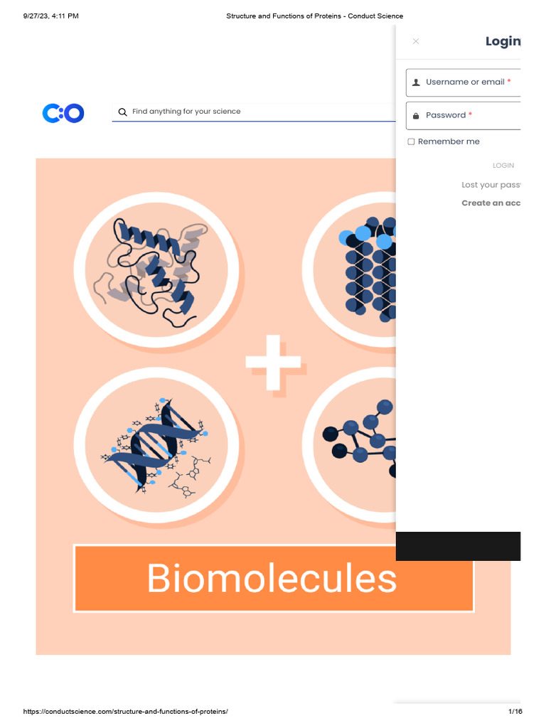 Structure and Functions of Proteins - Conduct Science | PDF | Protein ...