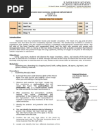 Circulatory System of Frog | PDF | Heart | Atrium (Heart)
