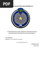 Formaatii Gabaasa Torbee Lama. | PDF