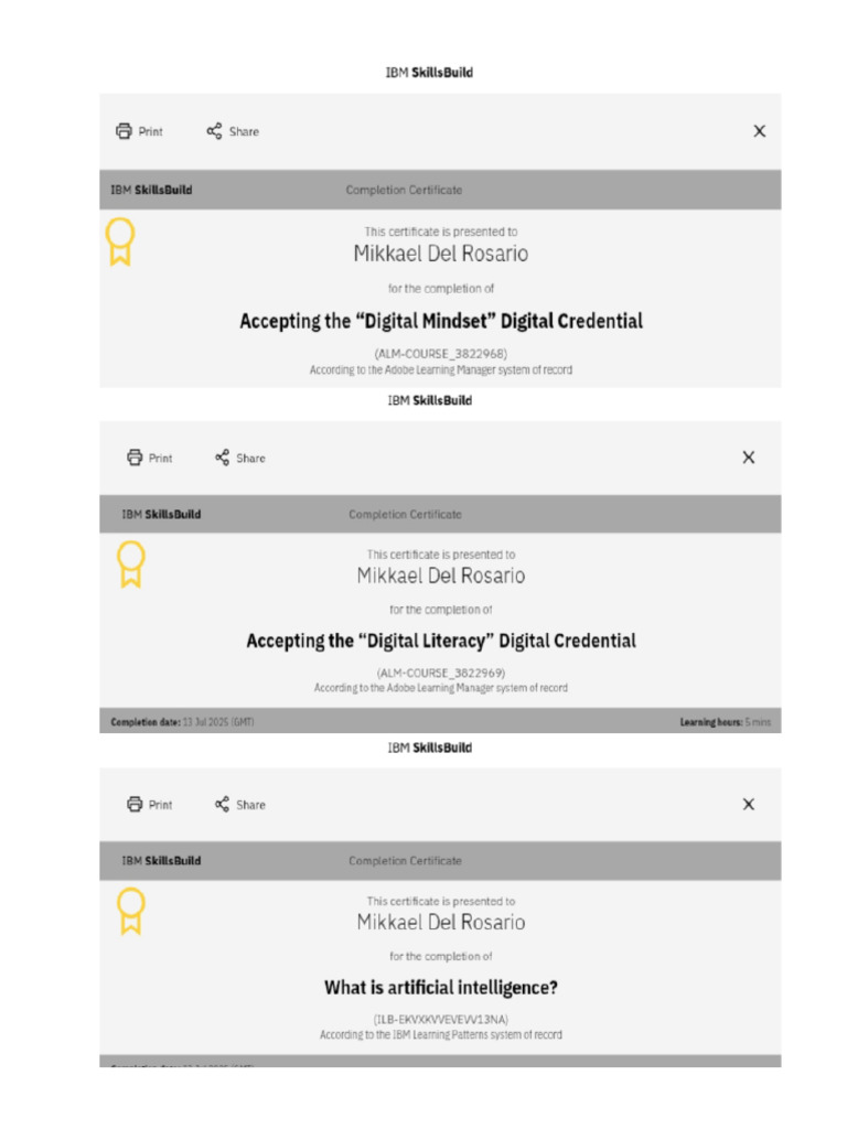 Ibm Skills Completion | PDF