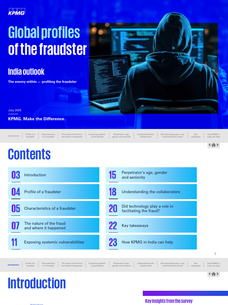Global Fraudster Profiles 2025 Report | PDF | Fraud