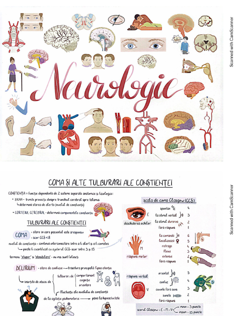 Neurologie 1 | PDF