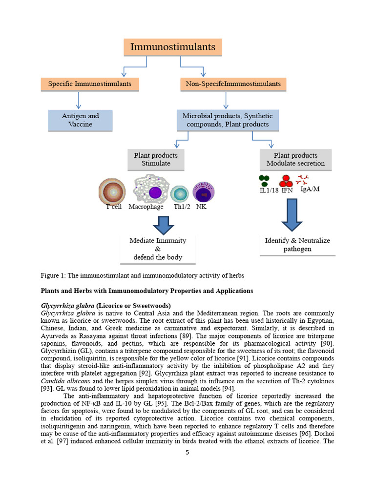 Herbal Immunomodulators A Remedial Panacea For Designing and 4xflk97onv ...