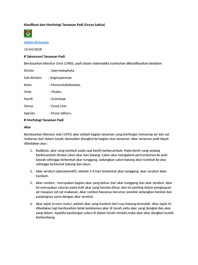 Klasifikasi Dan Morfologi Tanaman Padi | PDF