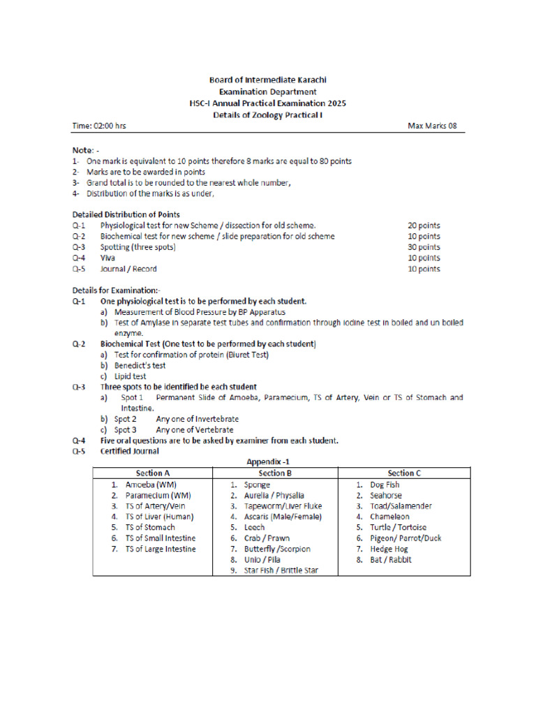 2025 BIEK (XI) Practical Scheme | PDF