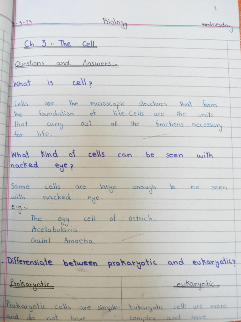 9th Class Biology Notes | PDF