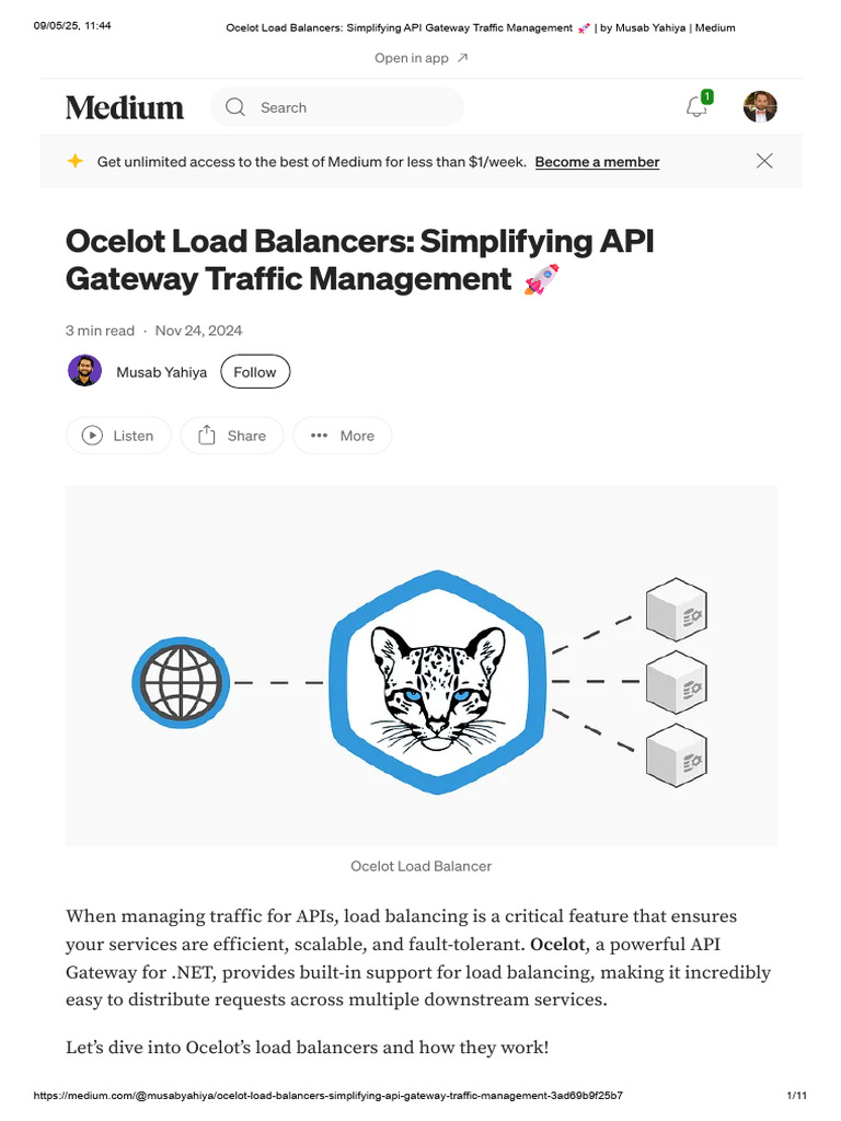 Ocelot Load Balancers - Simplifying API Gateway Traffic Management ? - by Musab Yahiya - Medium ...