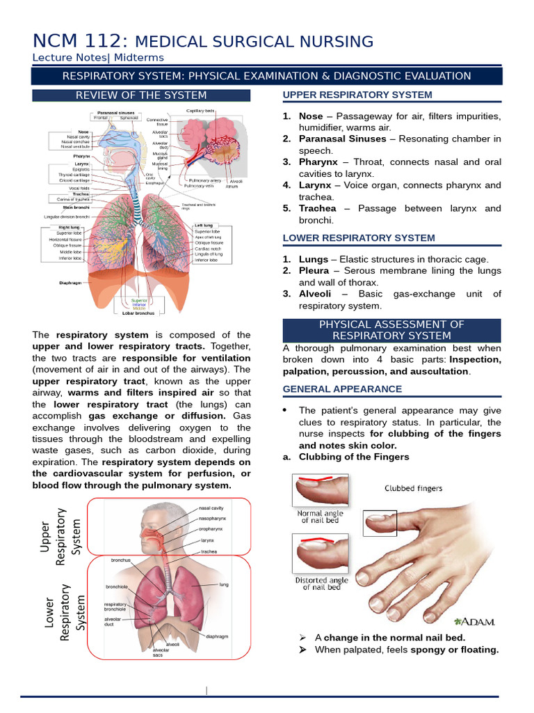 Respiratory System Examination Guide | PDF | Respiratory Tract ...