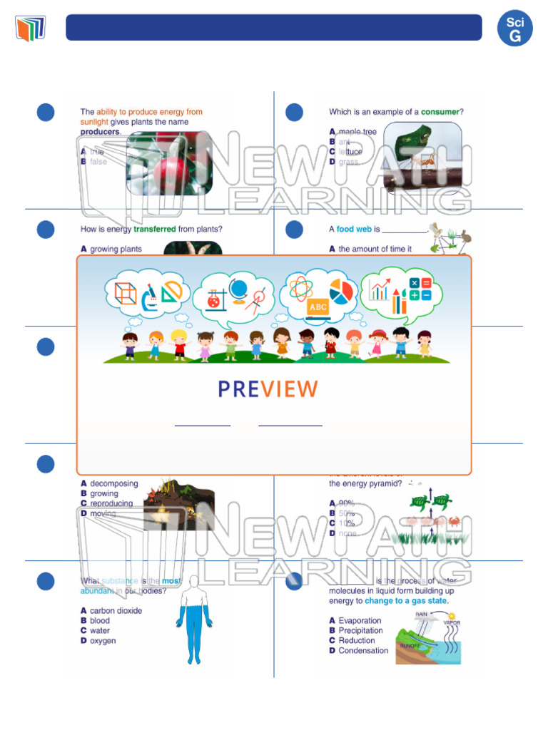 Grade 7 Ecosystem and Food Chain Worksheet | PDF | Systems Ecology ...