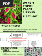 Tissues - PPT - Grade 9 | PDF | Epithelium | Tissue (Biology)