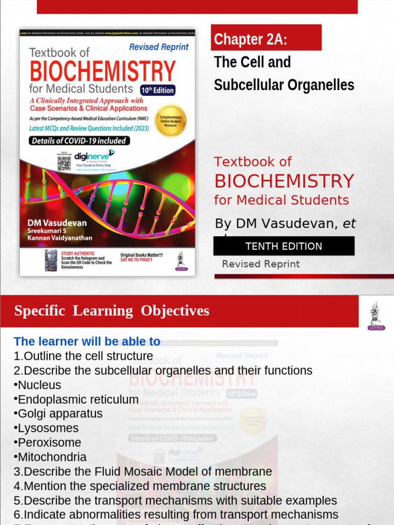 Ch 02A Subcellular Organelles | PDF | Cell Membrane | Endoplasmic Reticulum