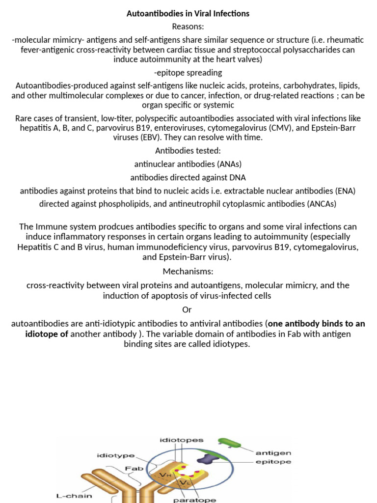 Autoantibodies Induced by Viral Infections | PDF | Antibody | B Cell