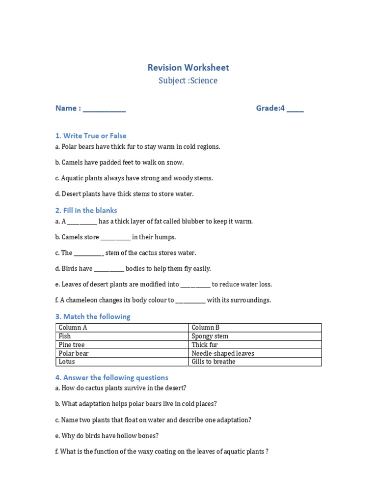 Revision Worksheet Science Grade 4 PT 2 | PDF