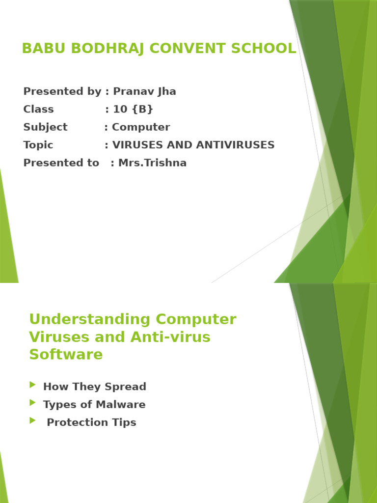 Computer Viruses and Protection Tips | PDF