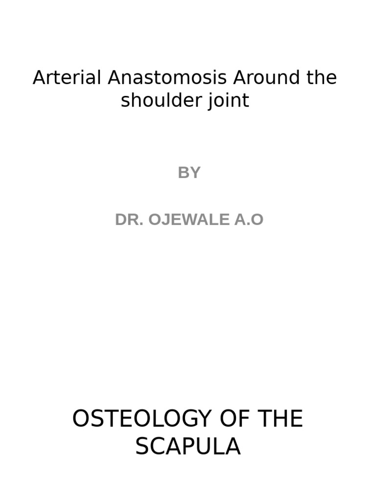Shoulder Joint Anastomosis | PDF | Musculoskeletal System | Limbs (Anatomy)