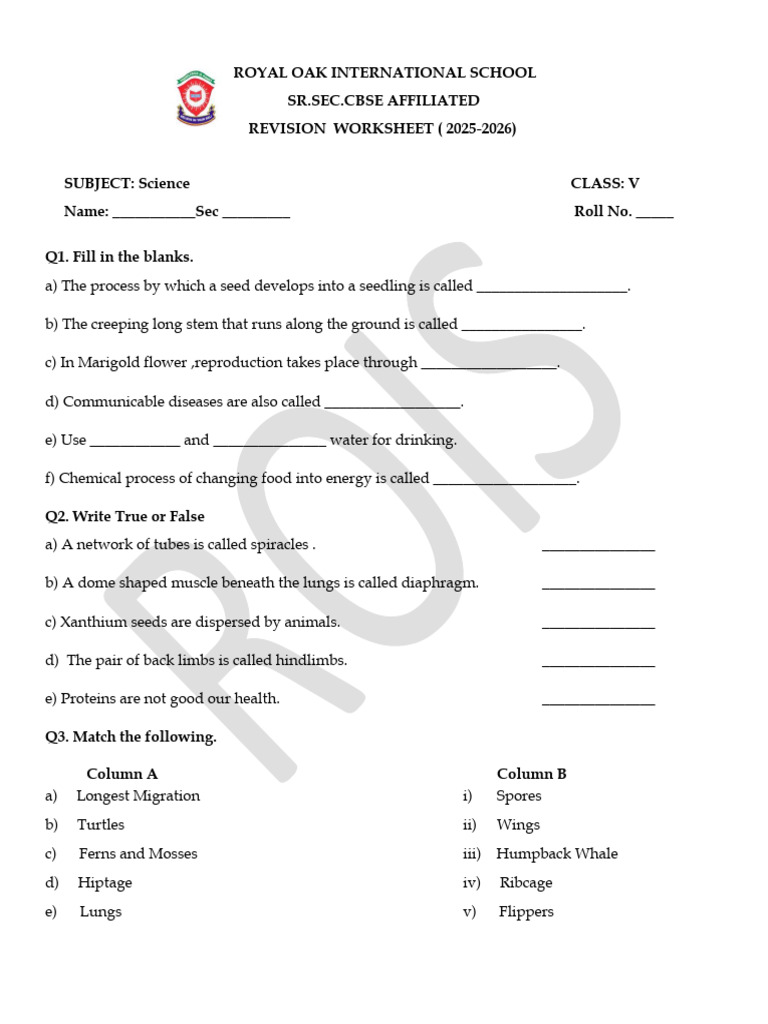 Sci Worksheet Class 5 (25-26) | PDF | Plants
