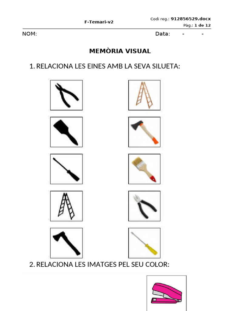 Rsoi 1r 13 Memòria Visual | PDF
