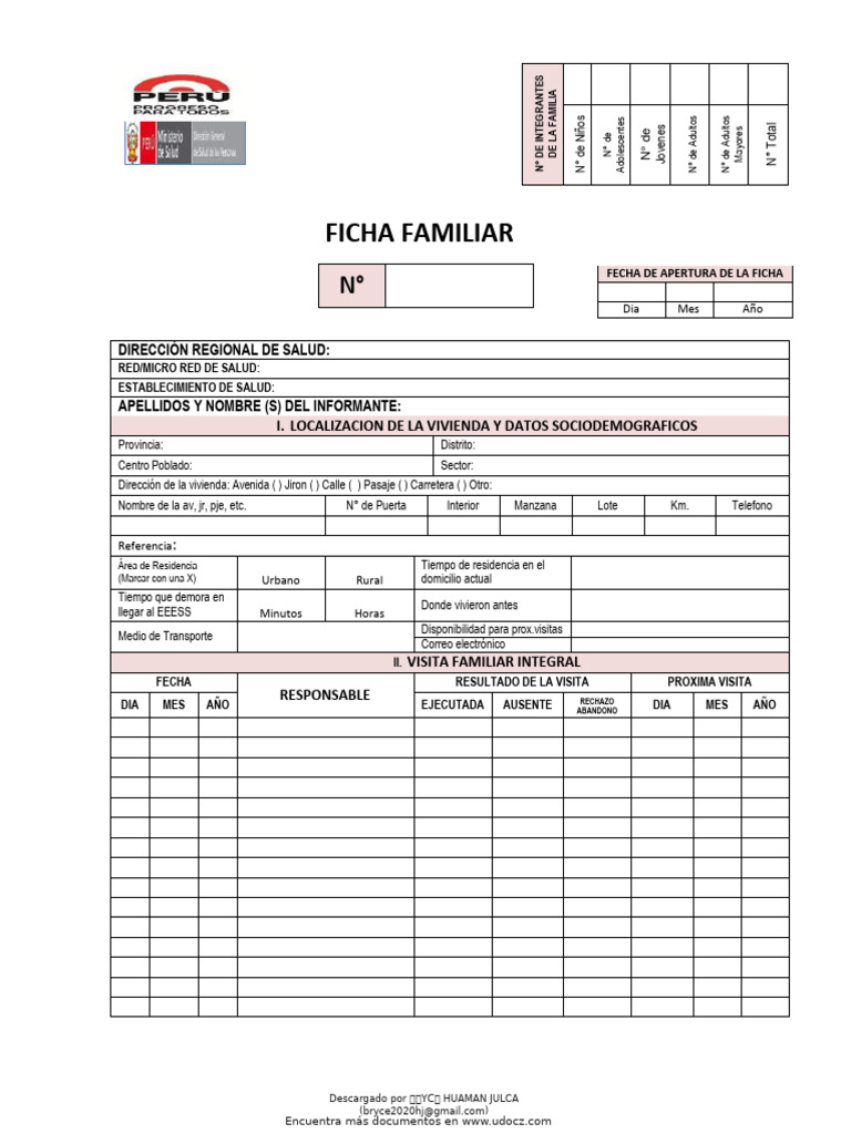 formato-de-ficha-fam-229948-downloadable-3020540_removed | PDF | Adultos