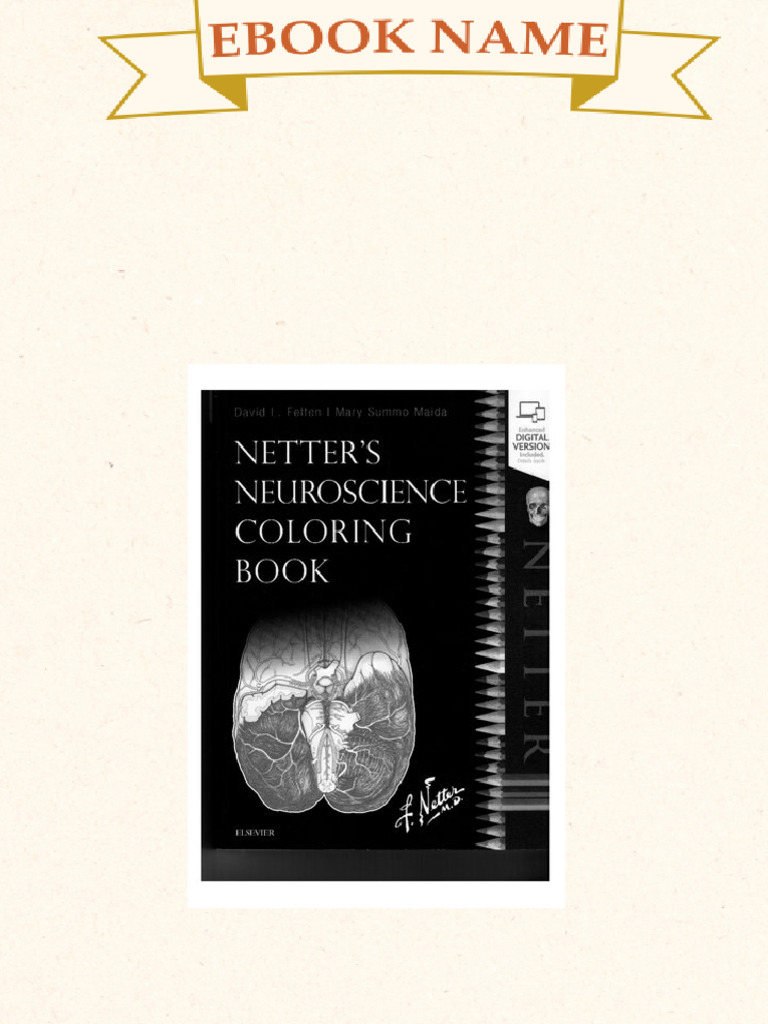 Netter S Neuroscience Coloring Book 1st Edition David L. Felten PDF ...