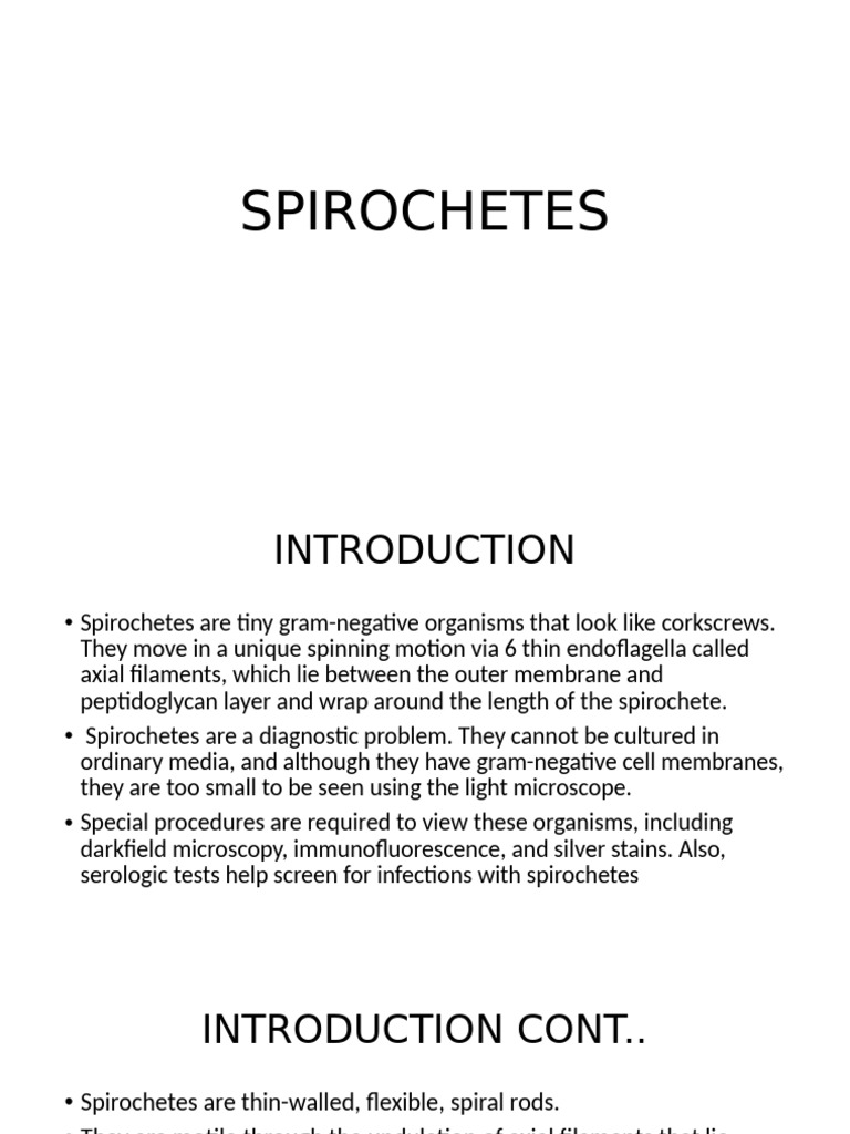 CMT 04107 Session 10 Spirochetes | PDF | Infection | Microbiology