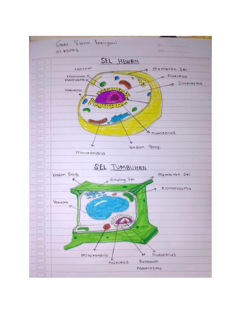 Saya Sedang Berbagi 'Gadis Viona Febriyanti ( XI MIPA 6, ABSEN 16 )' Dengan Anda | PDF