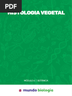 7 Periderme | PDF | Latido | Raiz